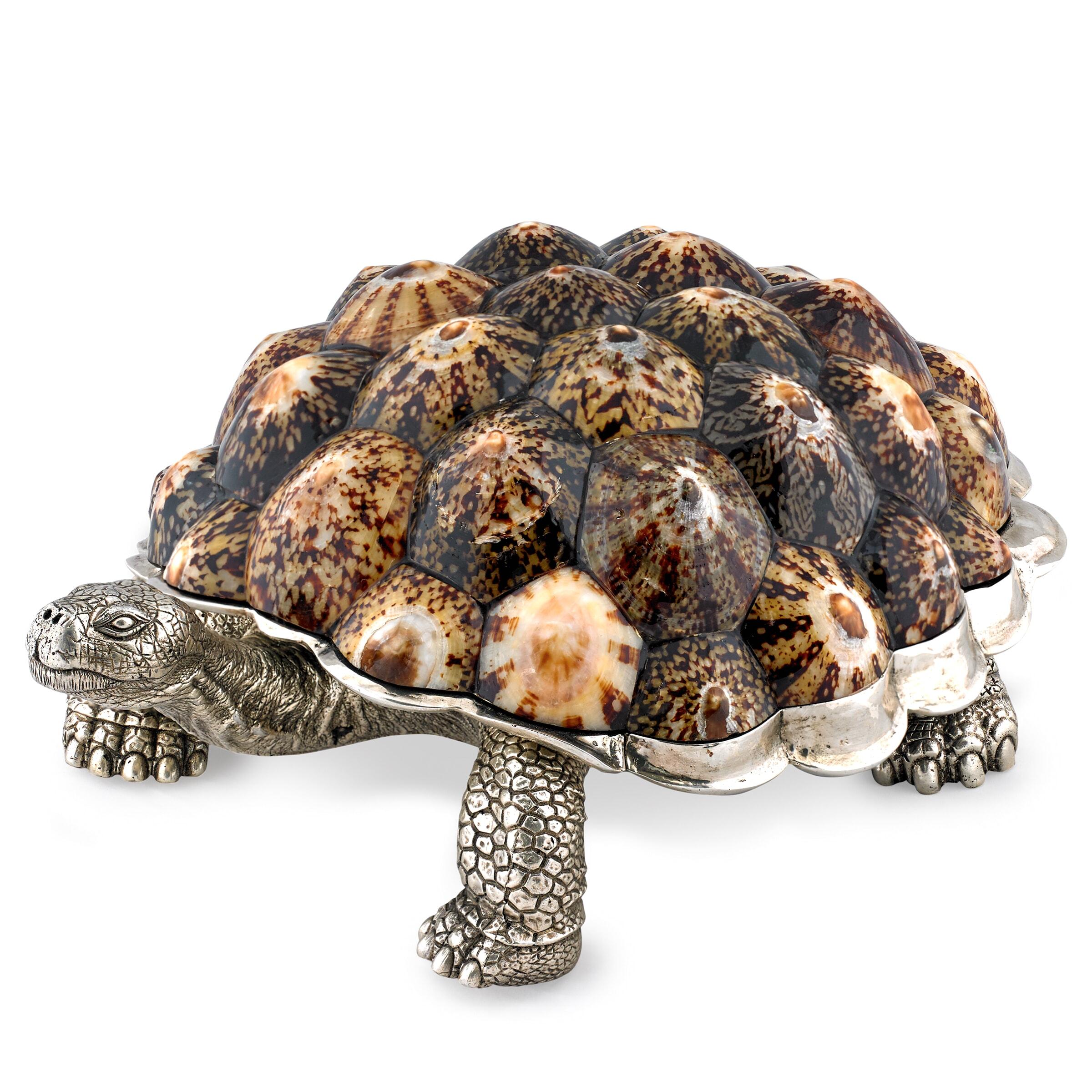 Silverplated Galapagos Turtle Box with Limpet Shell
