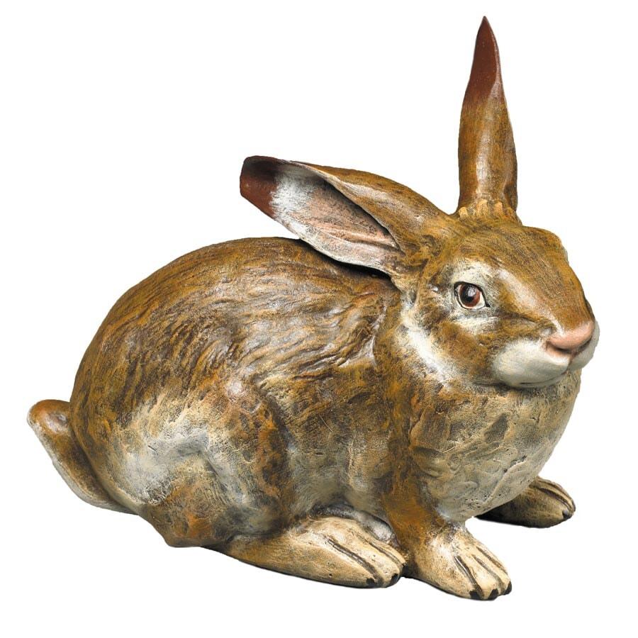 Austrian Bronze Large Rabbit