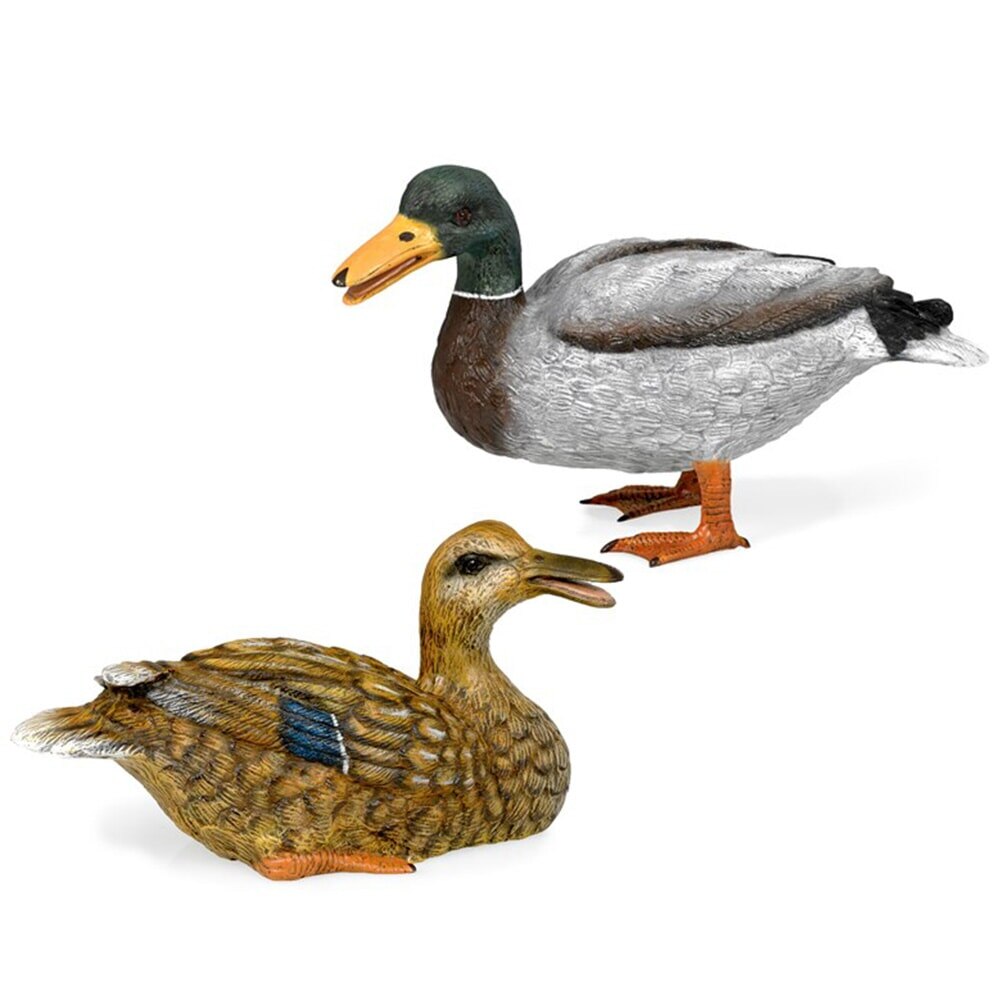 Austrian Bronze Large Mallards