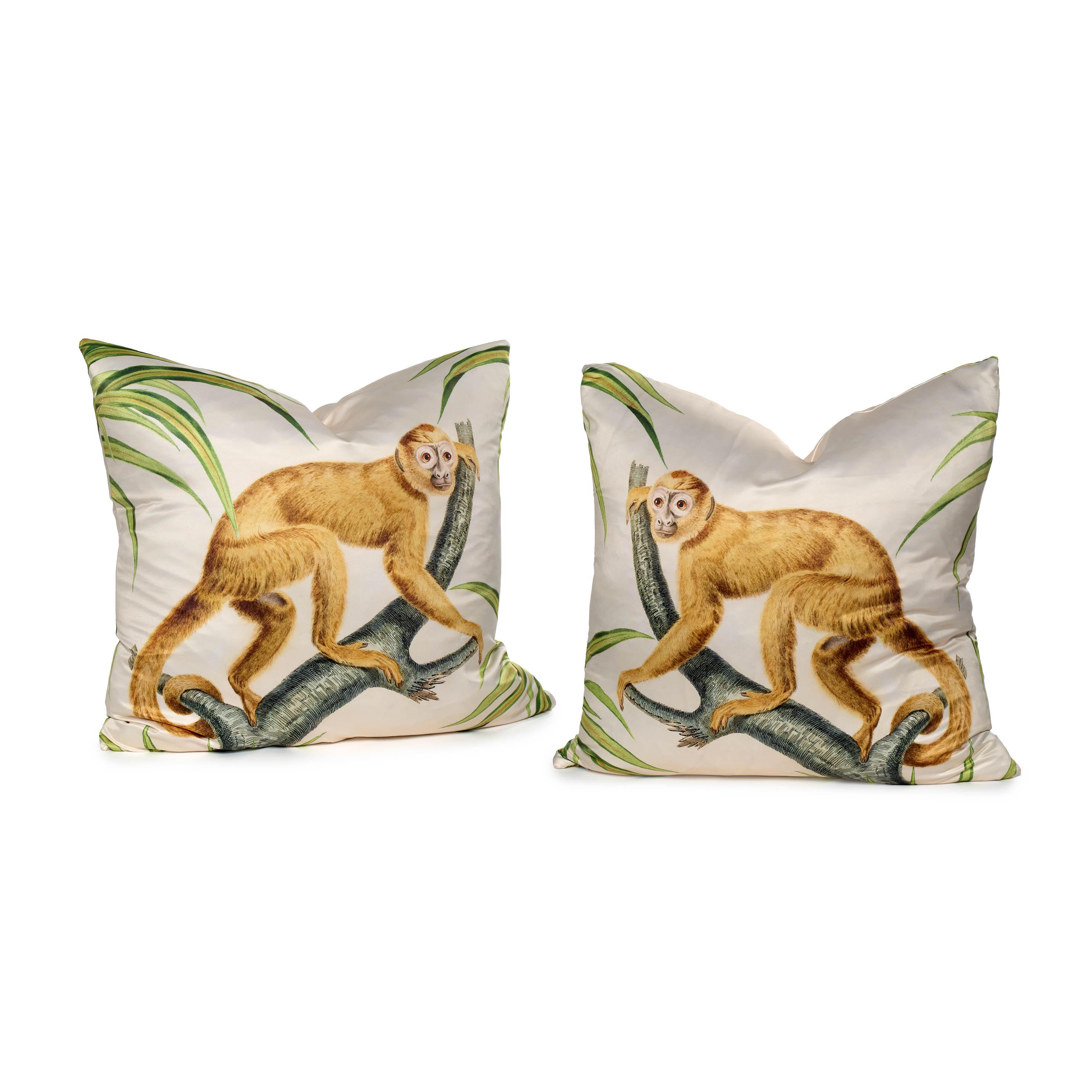 Golden Monkeys on Butter Pillows
